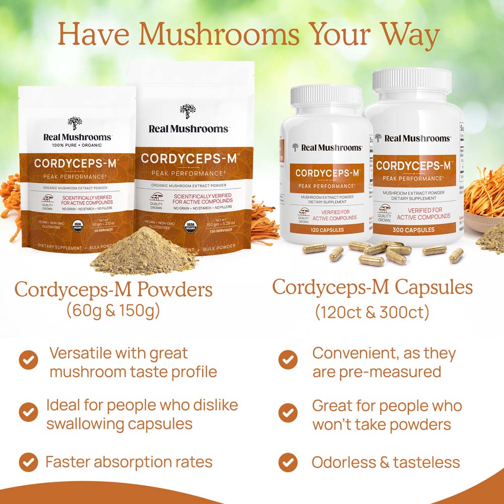Cordyceps-M – 300 Capsules – Eastern Currents