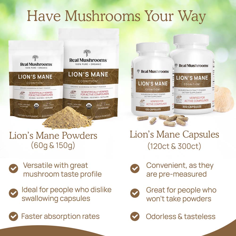 Lion's Mane Extract – 300 Capsules – Eastern Currents