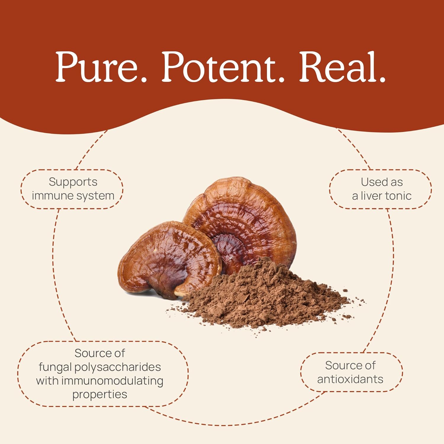Reishi – 90 Capsules – Eastern Currents