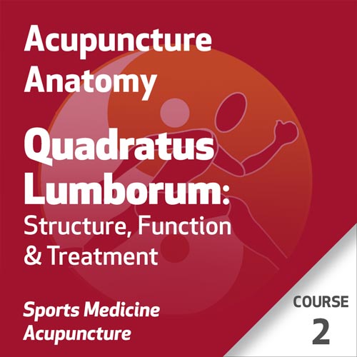 Acupuncture Anatomy Series – Course 1 – Eastern Currents