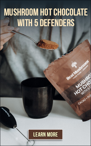 Electro-Stim Accessories – Eastern Currents